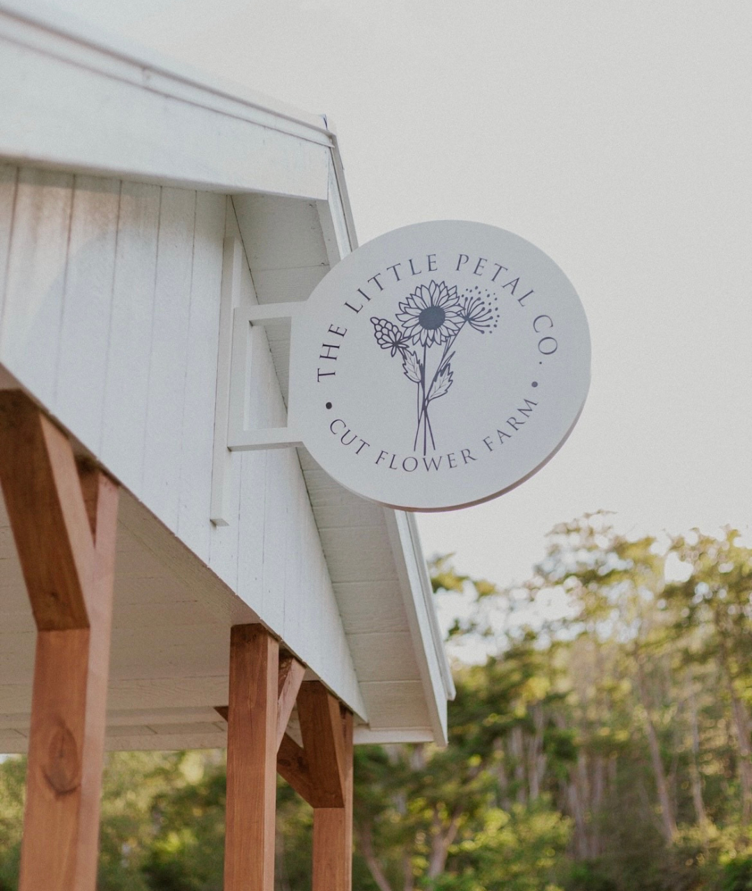 The Flower Shed – The Little Petal Co.